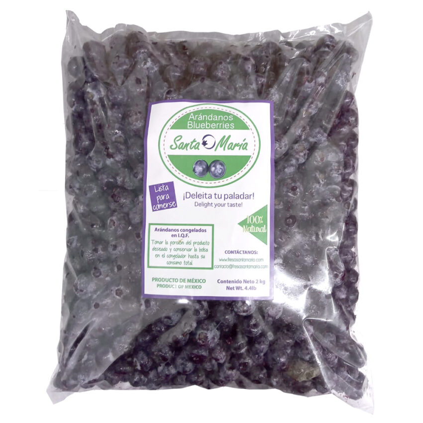 Arándanos congelados IQF – Fresas Santa Maria